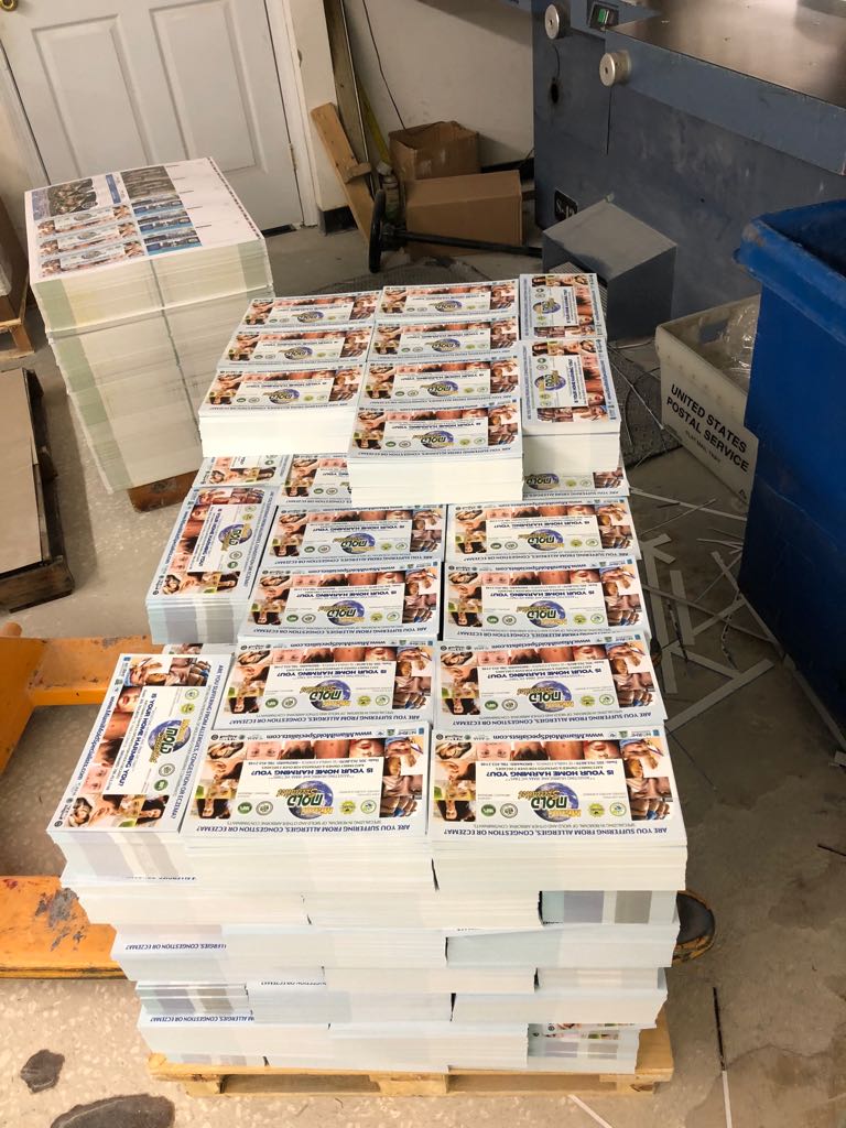 Miami Mold Specialists News - Miami Mold