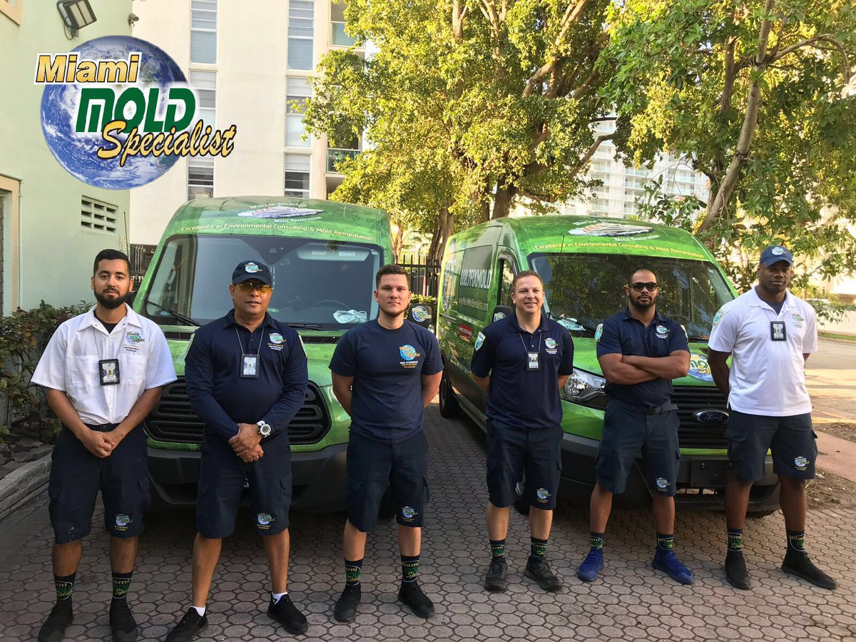 Miami Mold Specialist Receives Multiple Accolades and Awards for its ...