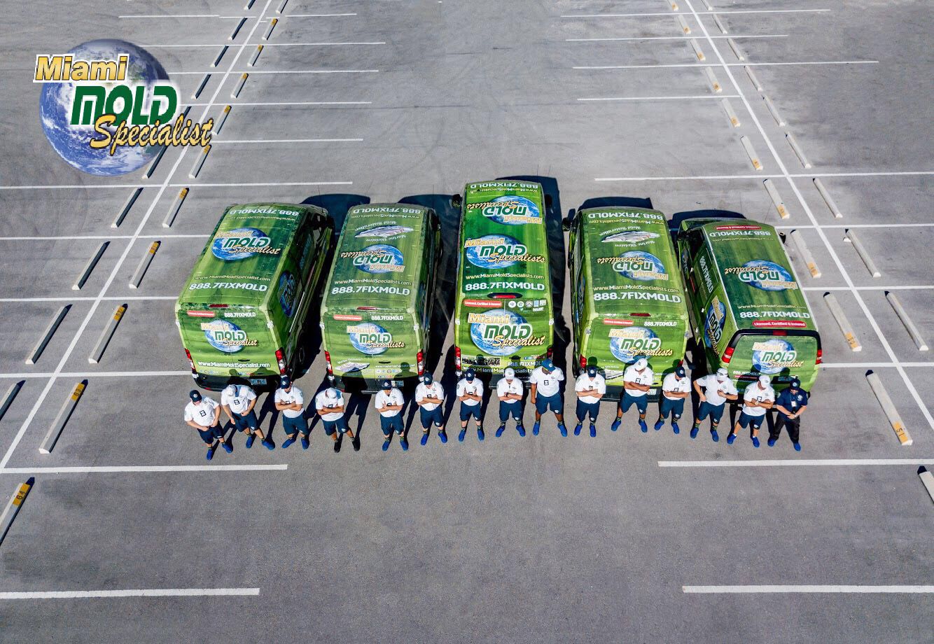 Miami Mold Specialists Expands Service Area to Florida Keys - Miami Mold