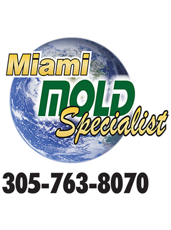 Welcome to our new blog about mold In Miami, FL. - Miami Mold