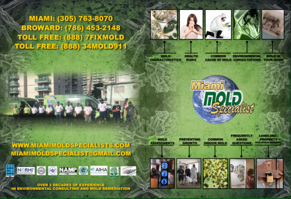 Miami Schools and Toxic Mold; Children’s Health At Risk - Miami Mold